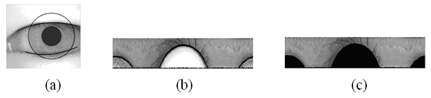 Biometrics CSE IIT Kanpur :- iris