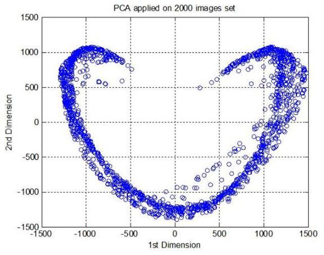 pic10_PCA embedding.jpg